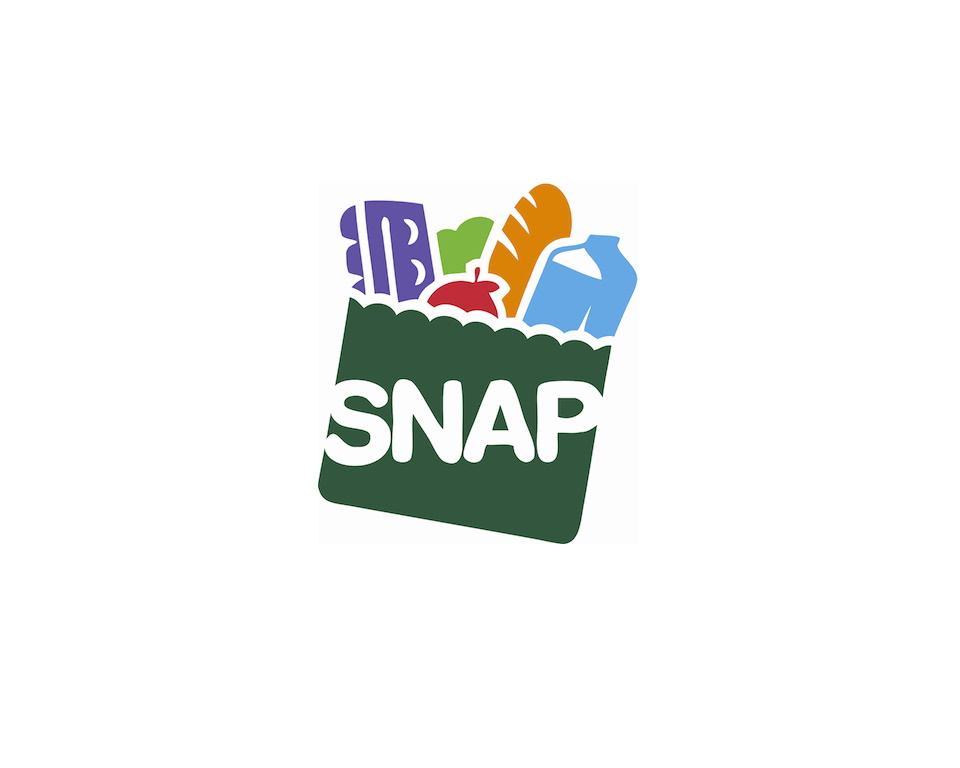 Where SNAP works: Understanding the place effects of food welfare ...